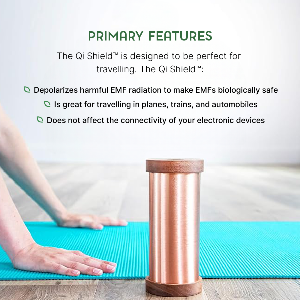 EMF Webinar Images Shield_Shield 05