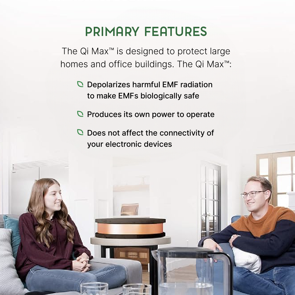 EMF Webinar Images Max_Max 05