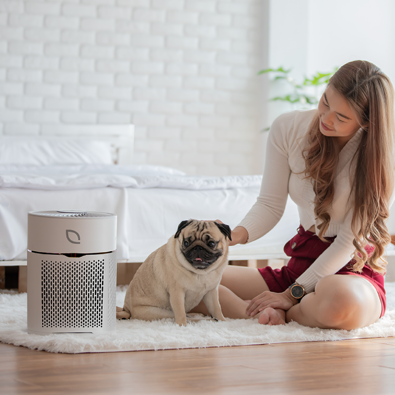 Type of Power Plug * Choose an option USA/CA/MX (Standard) Europe (Type ...